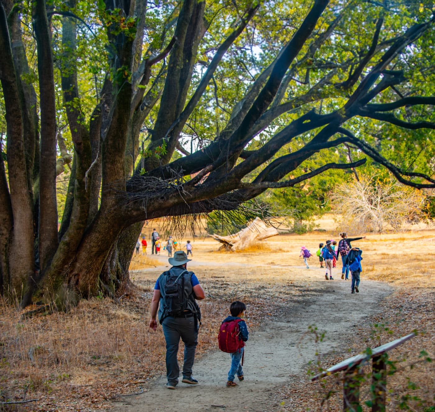 Self-Guided Activities | Filoli
