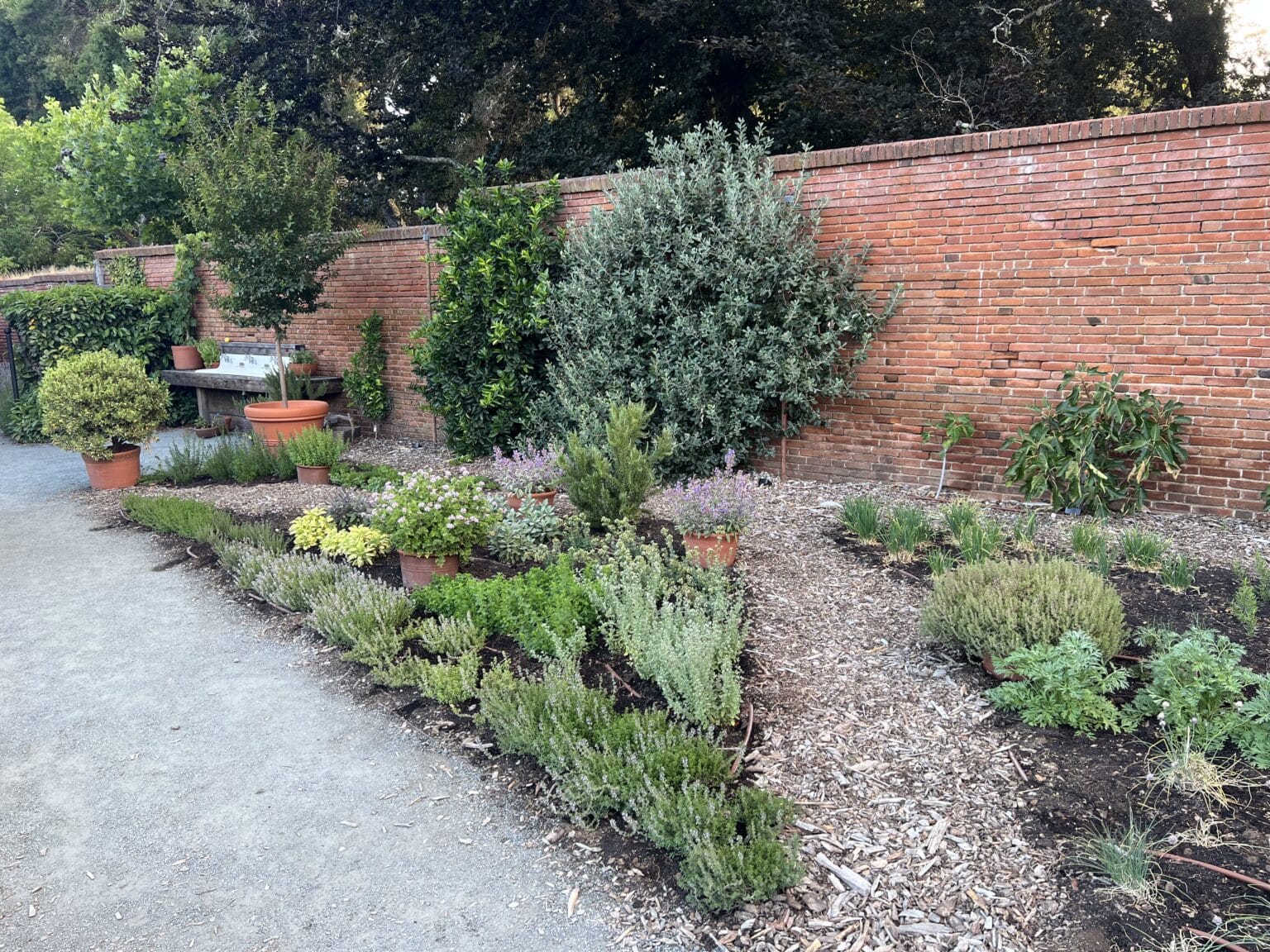 Visit Virtually | Filoli