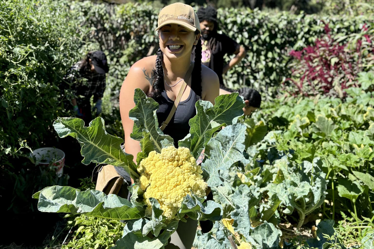 Visit Virtually | Filoli