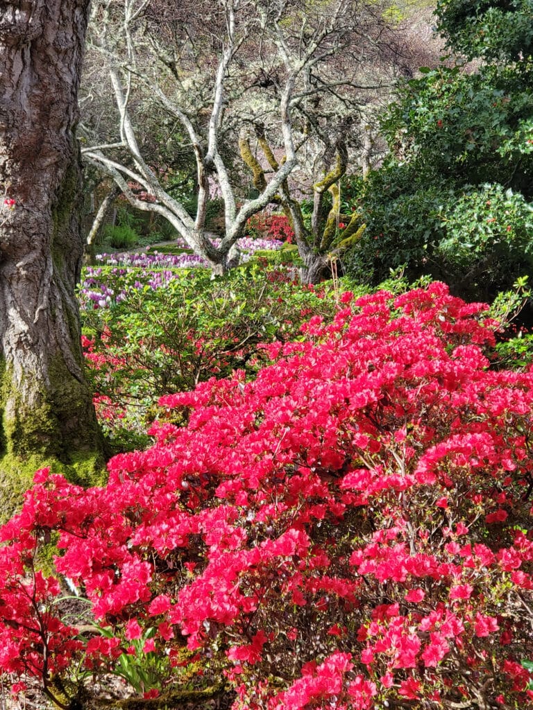 Filoli | Historic House & Garden | Filoli
